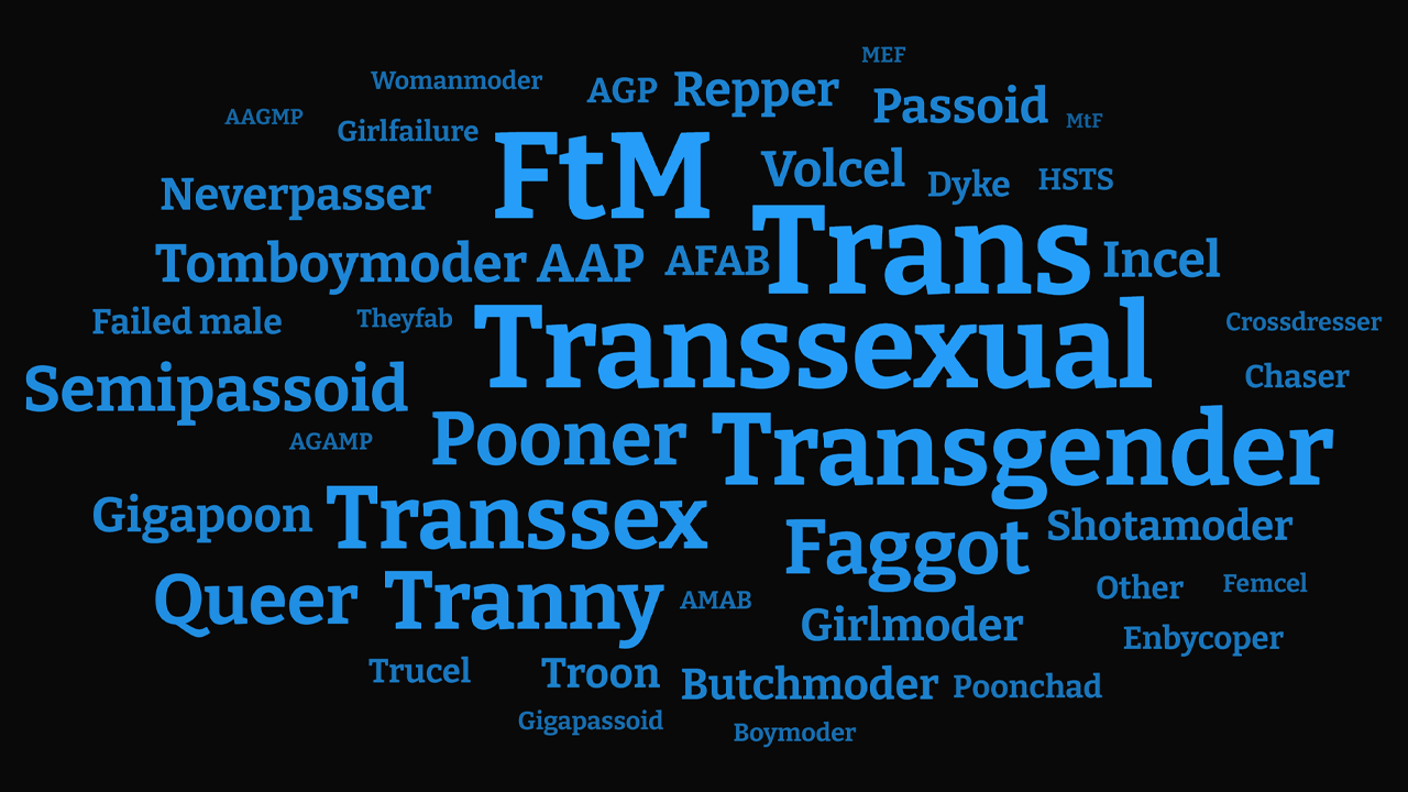 Extended 4tran Survey (2025.2) Results: Self Describing - DesiresAreGrey